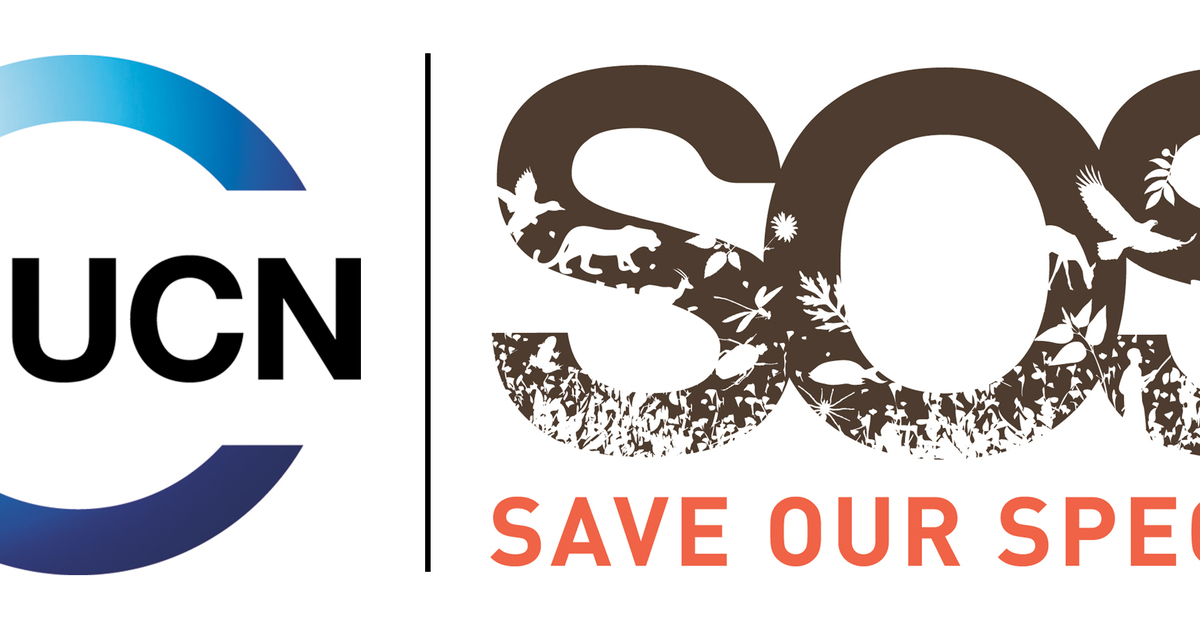 IUCN Save Our Species | IFAW