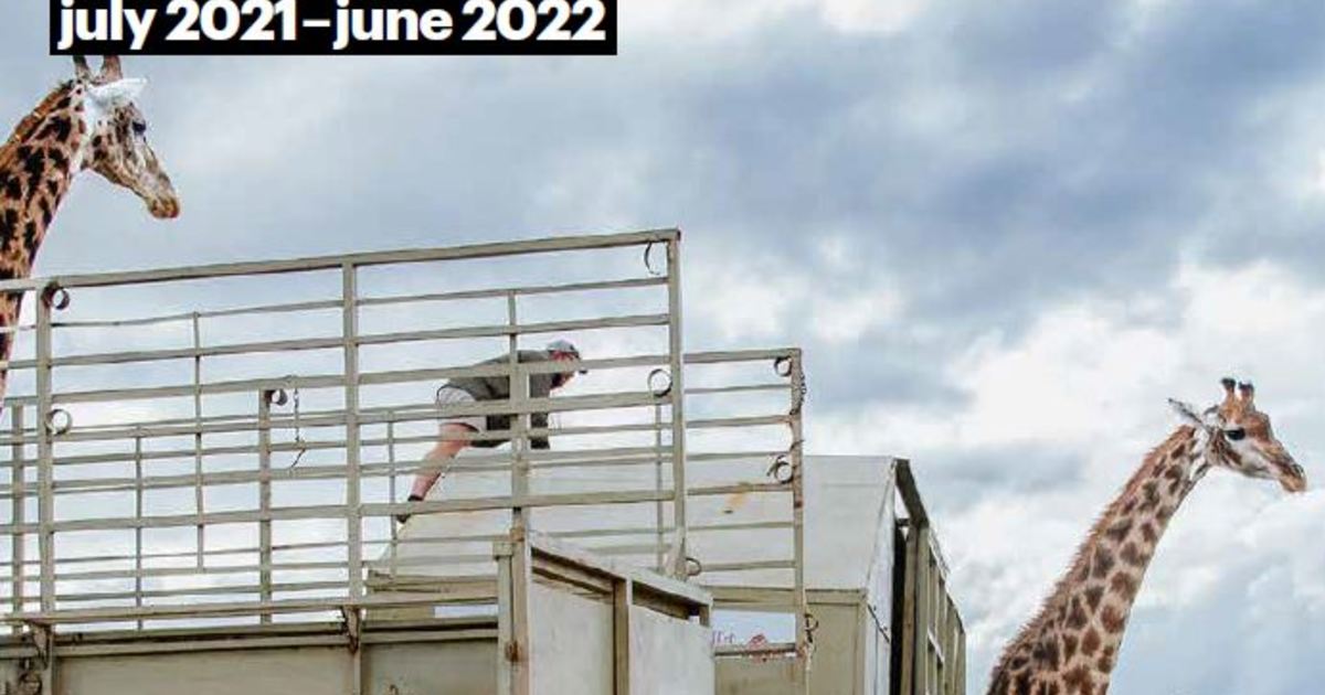 Annual Report July 2021–June 2022