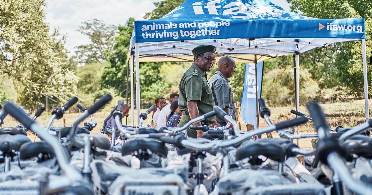 Cycles help safeguard students from wildlife attacks in Zimbabwe