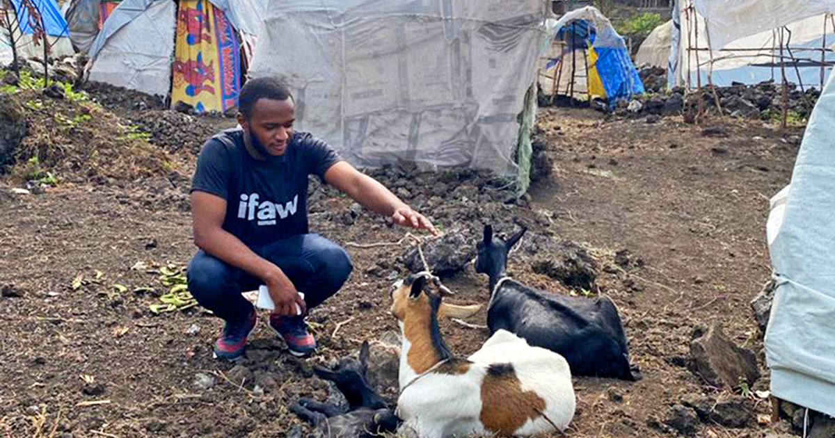 Helping animals amid humanitarian crisis in the DRC