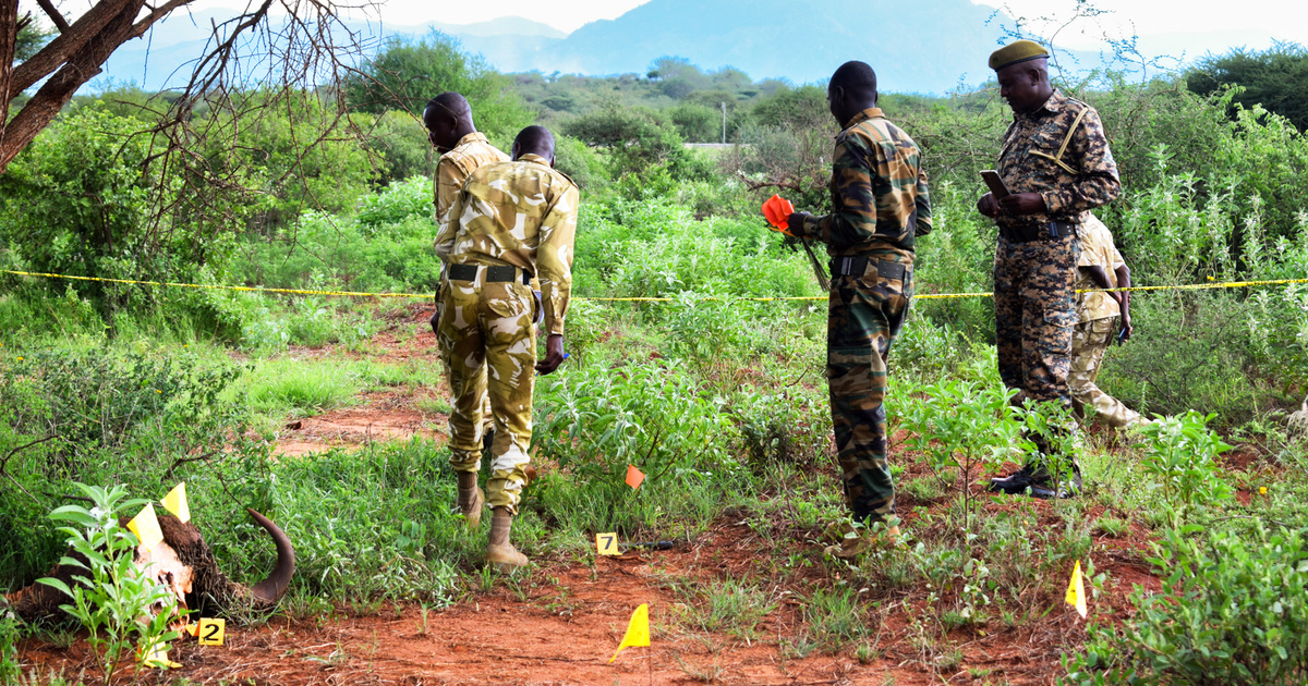 Rangers trainen in forensisch onderzoek tegen wildlife crime