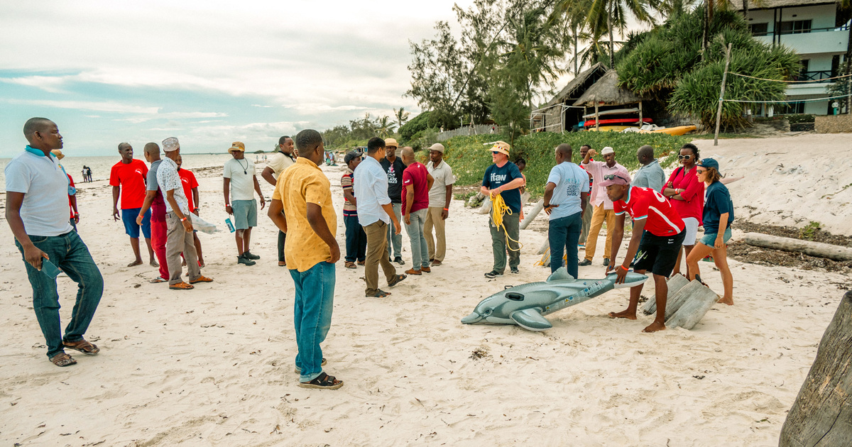 Gestrandete Delfine und Wale retten: Gemeinden in Kenia helfen