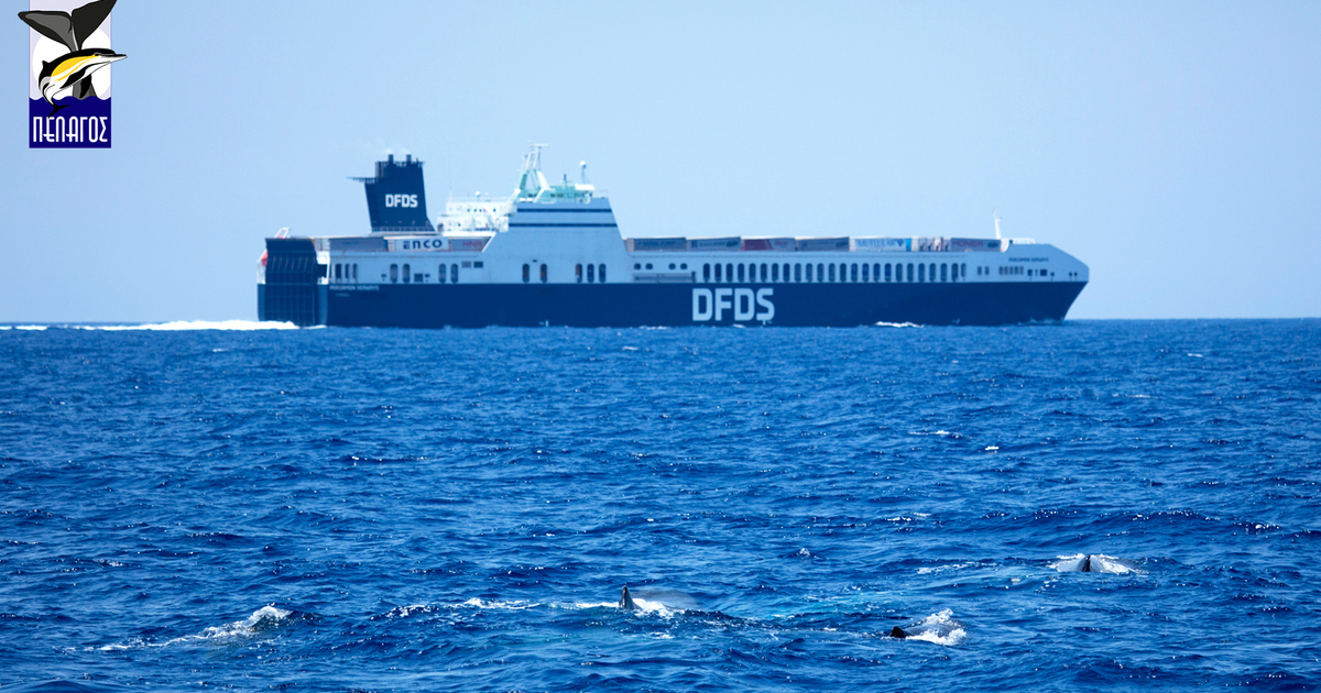 First Greek shipping company changes course for its ships