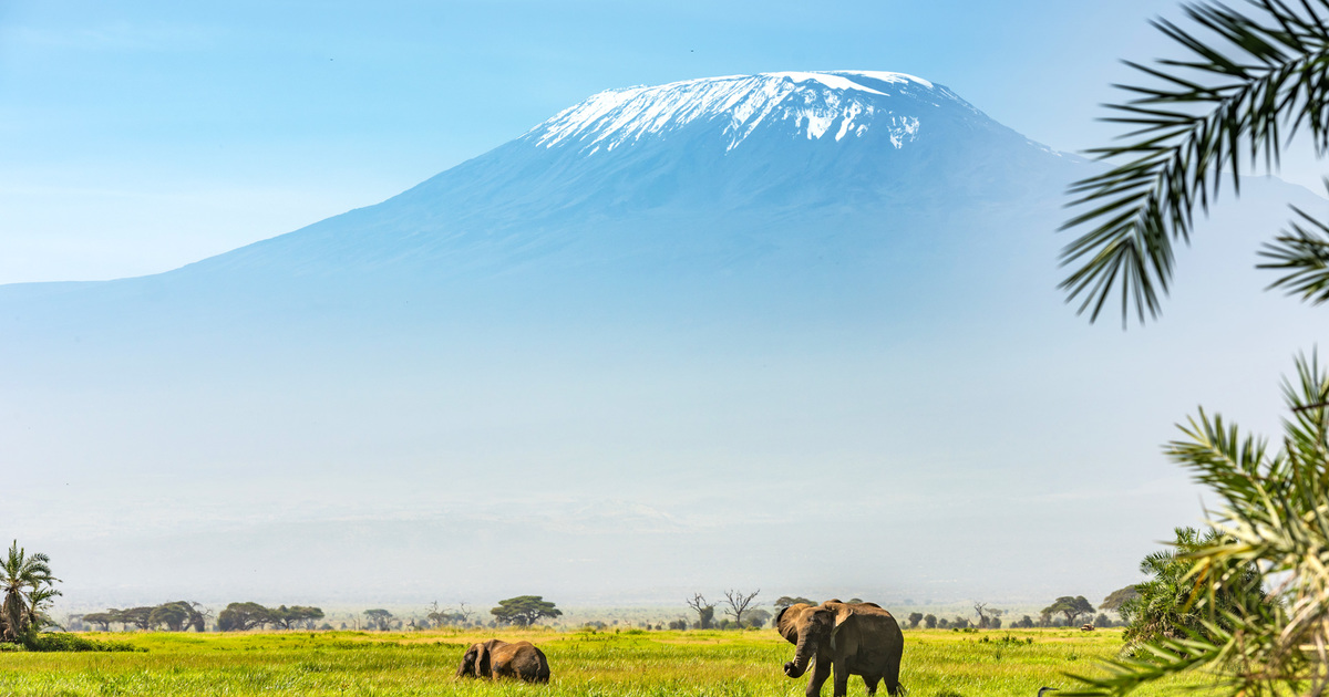 Small steps to fight climate change as individuals | IFAW
