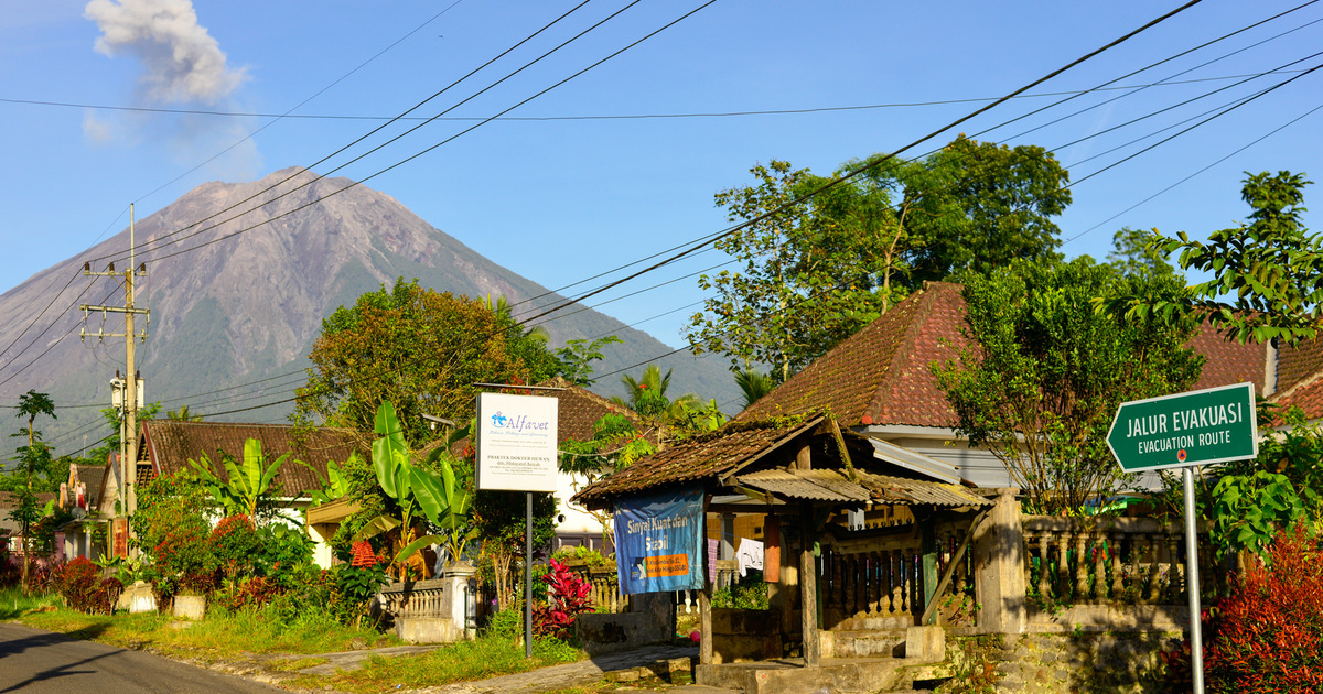 IFAW rushes aid to partners during Mt Lewotobi Laki-Laki eruption