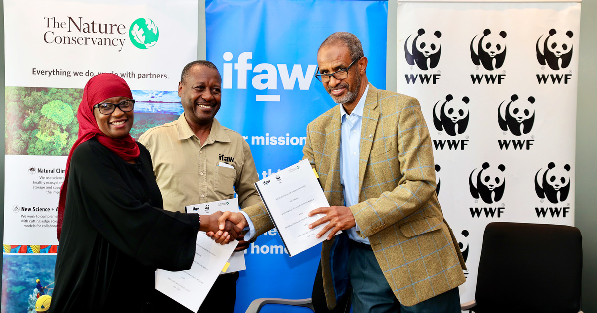 IFAW, TNC and WWF-Kenya join forces to advance conservation gains