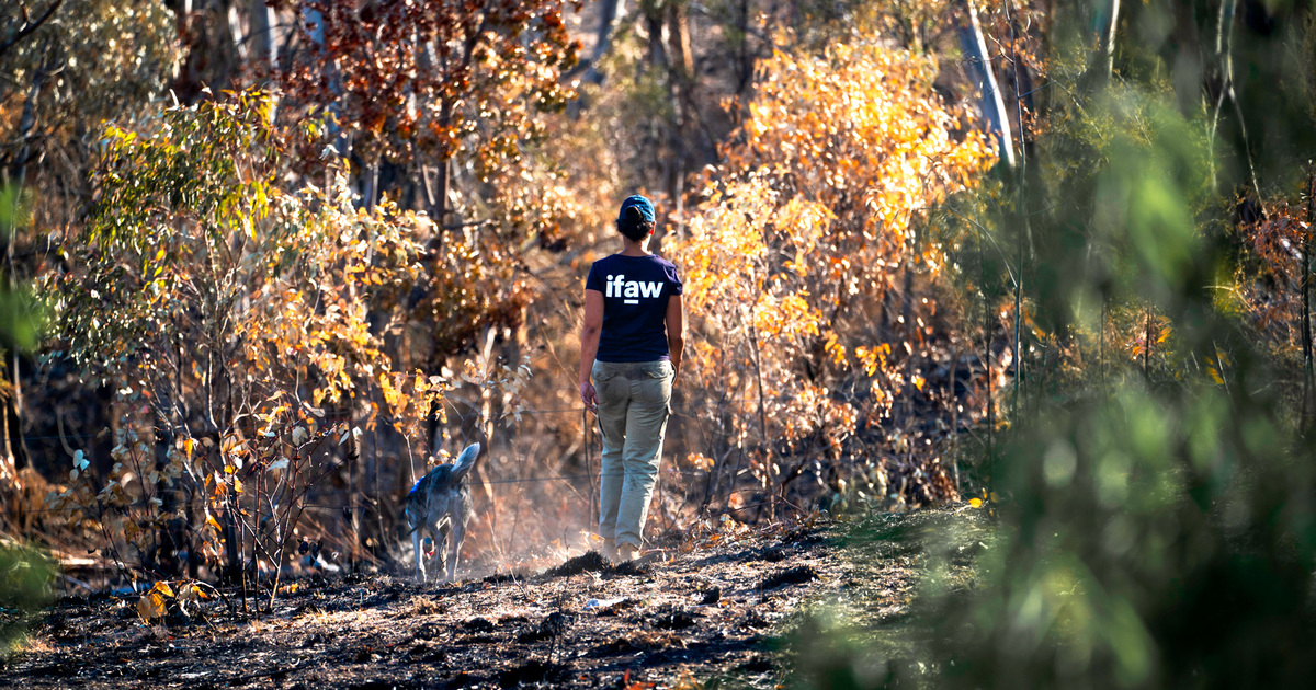 Miazxxxxxx the site is serene, spotless and respectable.