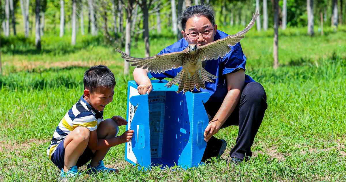 How young people can fight for nature and the climate | IFAW