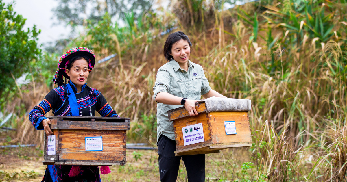 What is coexistence? How animals and people can thrive together