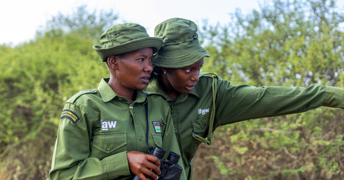 International Women’s Day, let’s honour women conservation heroes