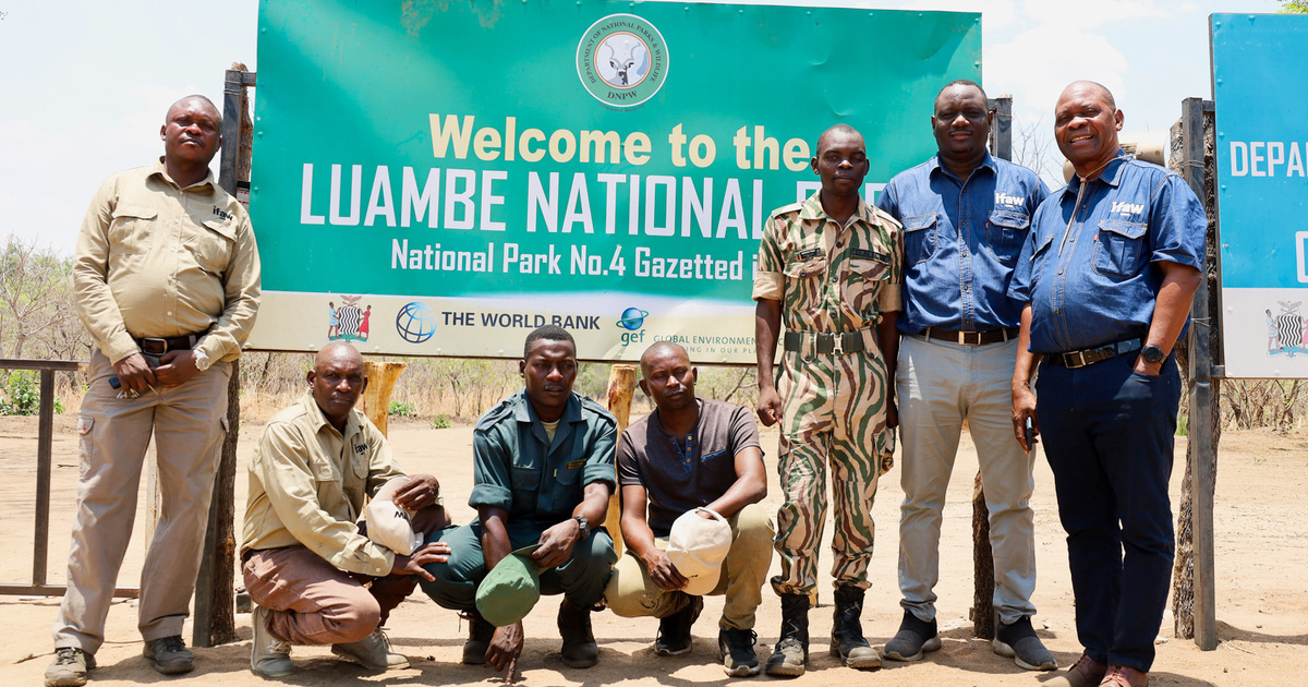 Behind the badge: the silent challenges facing wildlife rangers