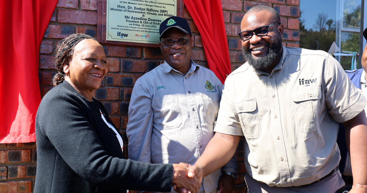 The Zimbabwean government, with IFAW and ZimParks, today commissi