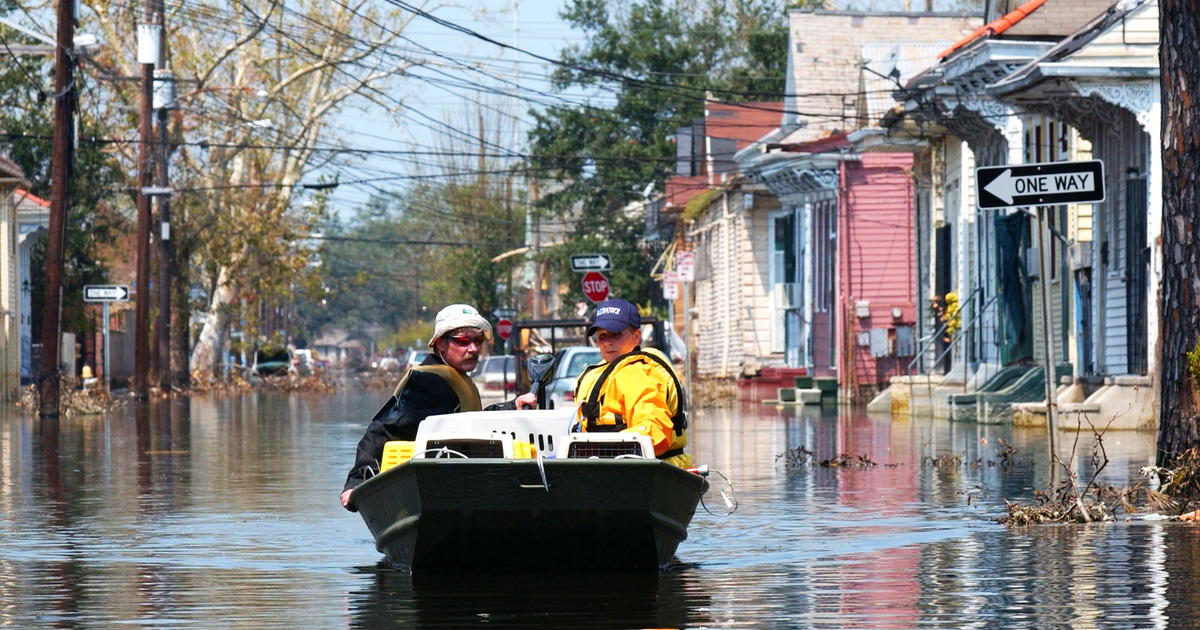 Hurricane Katrina shaped IFAW’s disaster response, 20 years later