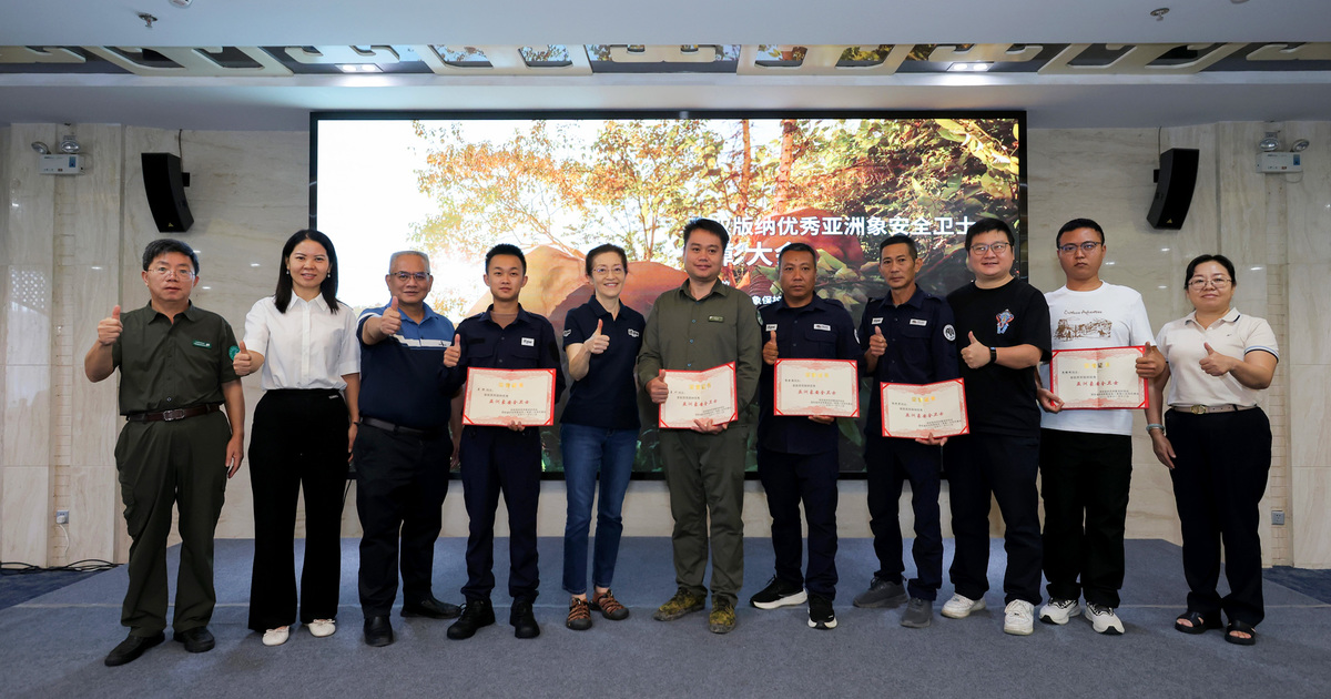 Five Asian elephant guardians honored in Xishuangbanna