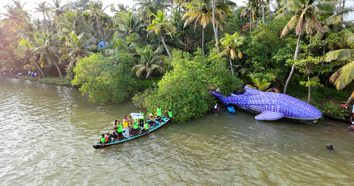 Communities in conservation: protecting India’s whale sharks