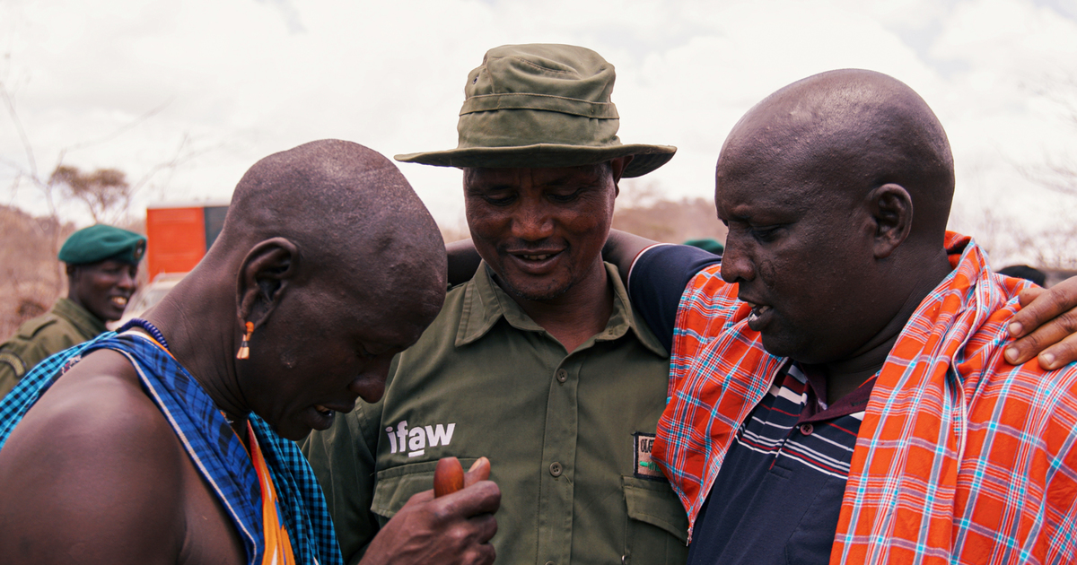 IFAW East Africa at 25: building a future for wildlife and people