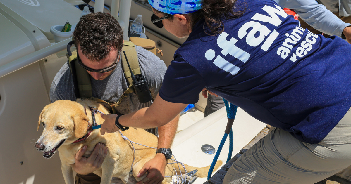 Saving Candy: A reunion story after Hurricane Dorian