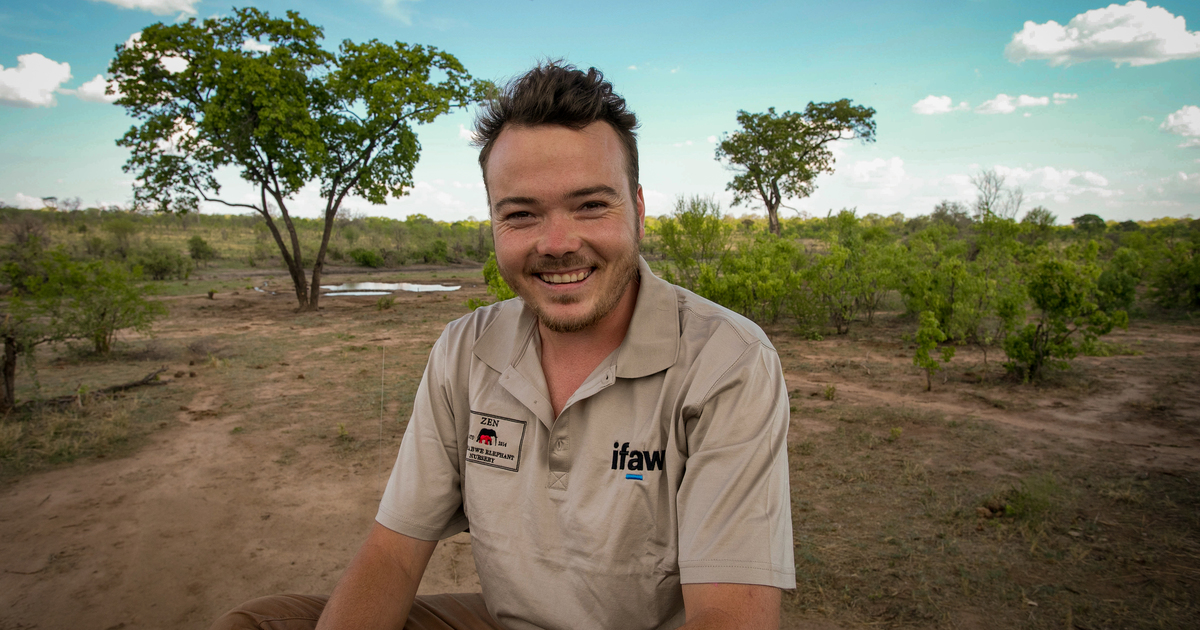 Q & A with Jos Danckwerts, project manager at the Panda Masuie Release ...