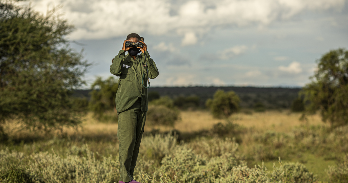 Ranger FAQ: Protecting wildlife in Africa during COVID-19 Ranger FAQ: Protecting wildlife in Africa during COVID-19