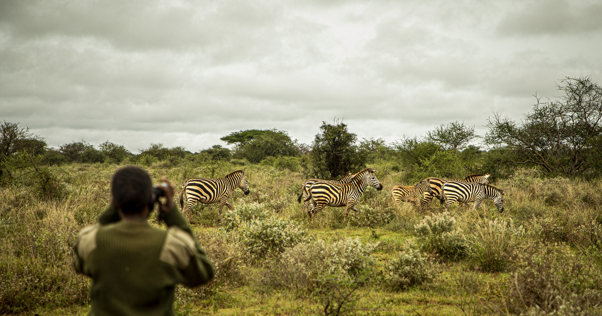 World Ranger Day: A big thank you to wildlife rangers and our generous ...
