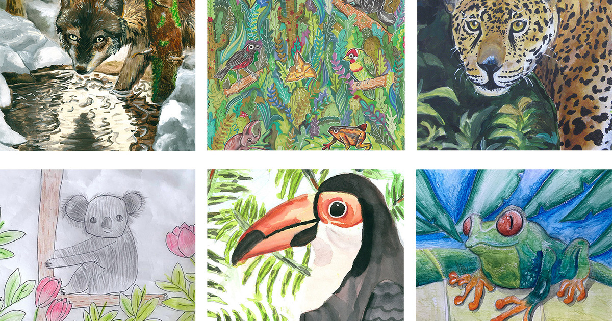 In Celebration of World Wildlife Day 2021, IFAW Unites with CITES and ...