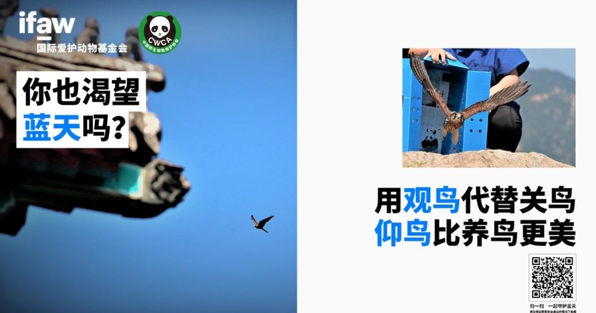 ifaw wins Excellence Science Publicity & Education Award 2020 in Beijing