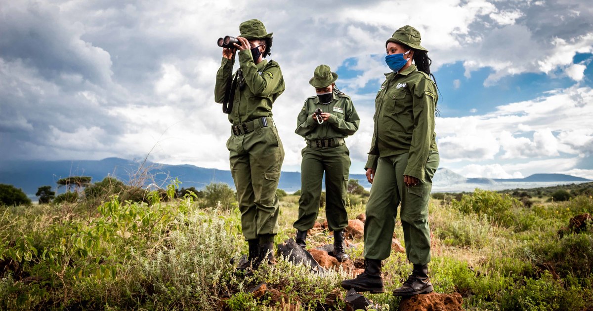 celebrating frontline heroes this World Ranger Day | IFAW