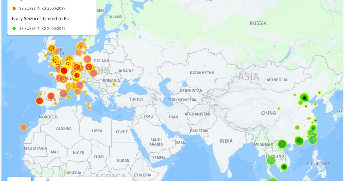 Map highlights Europe's role in the global ivory trade | IFAW