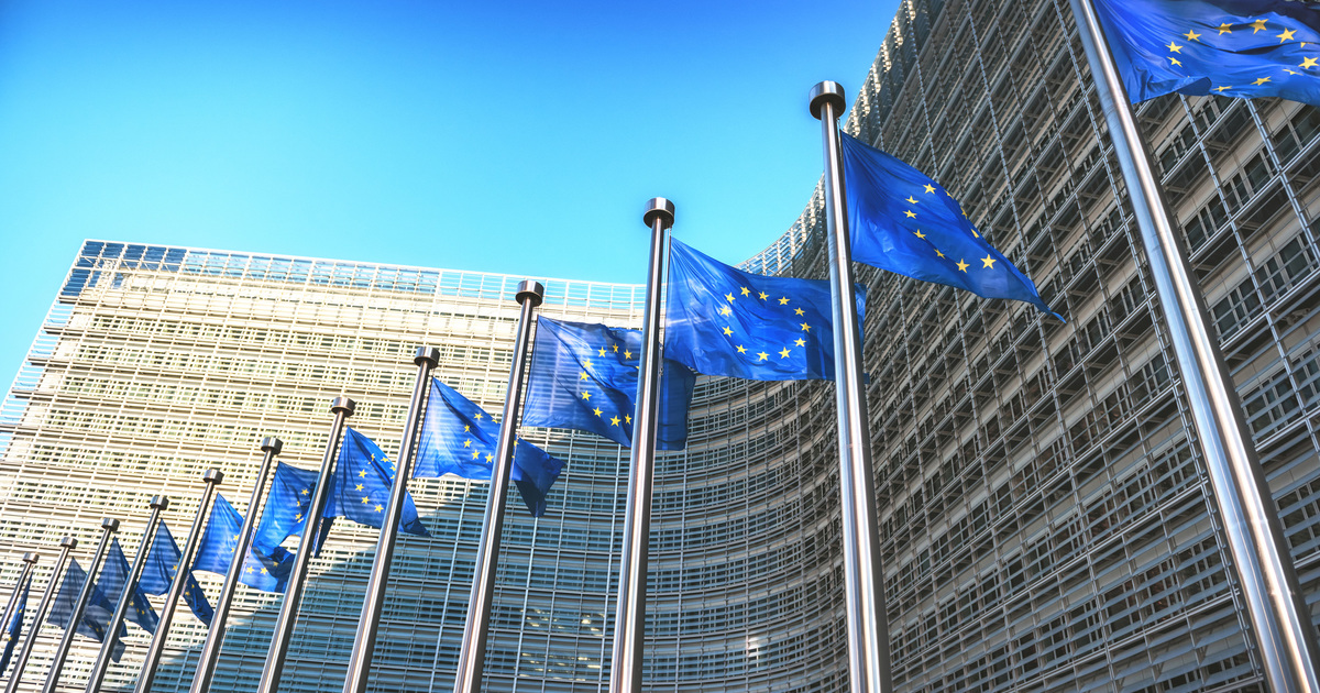 The European Commission launches a consultation on ivory | IFAW