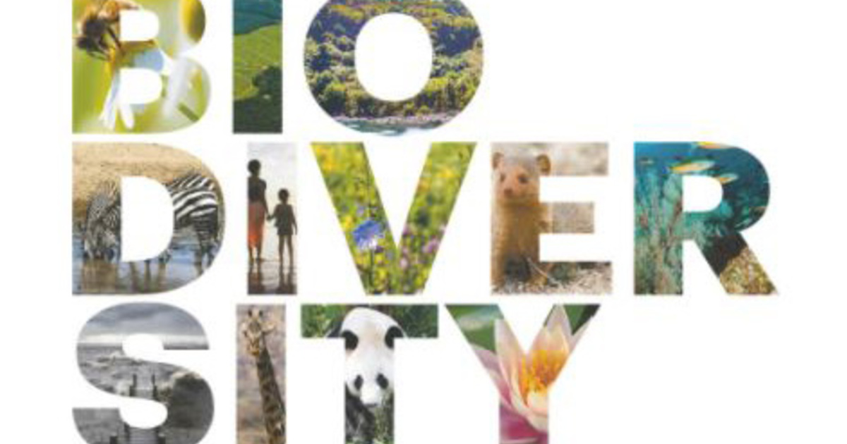 Organizations unite in call for federal biodiversity strategy