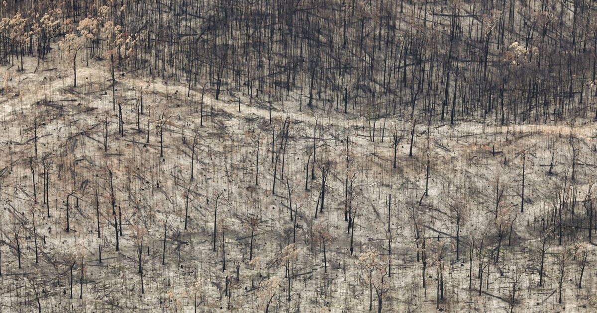 the impact of climate change on our planet’s animals