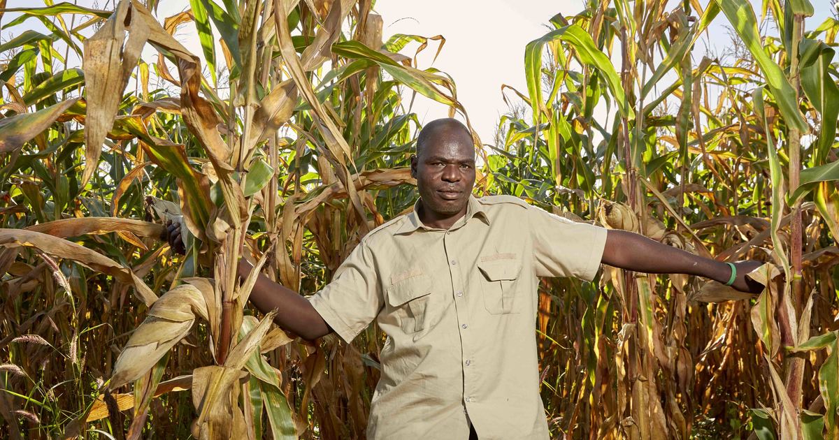 Transformation : un braconnier devient un gardien de l’écosystème