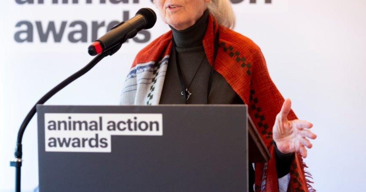 Animal heroes of the world honoured with a special award