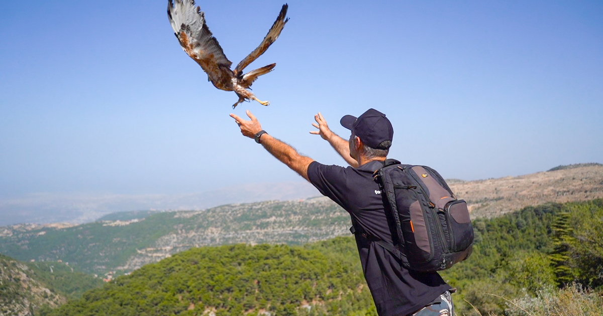 dangerous migrations: protecting wild birds from poachers in Leba