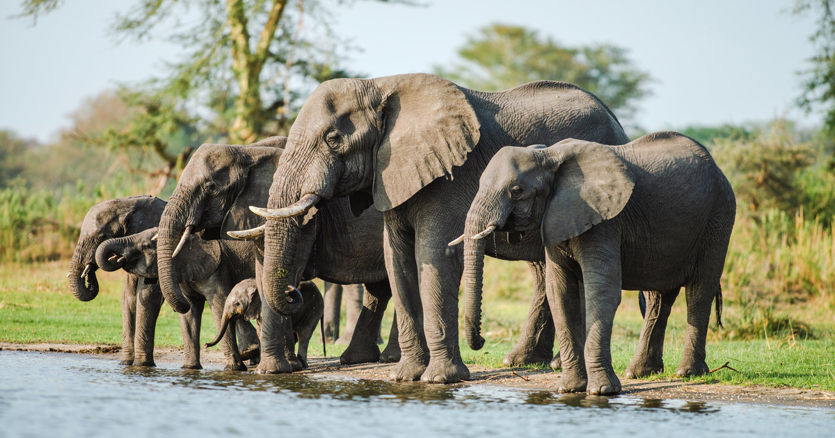 let’s make nature conservation profitable