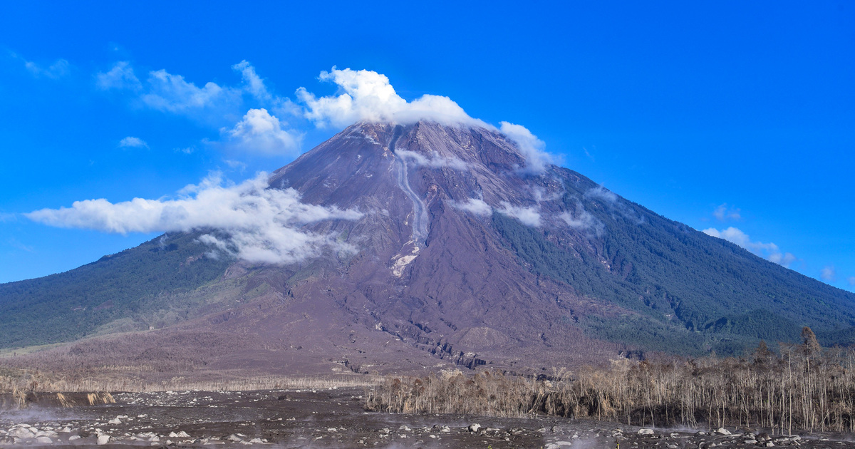 Mount Semeru eruption: evacuate animals and people will follow