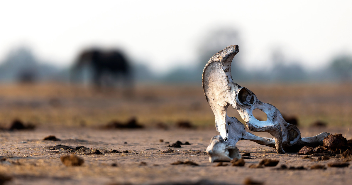 despite Kenya’s worst drought in 40 years, communities are resili