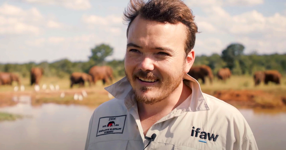 meet Jos Danckwerts
