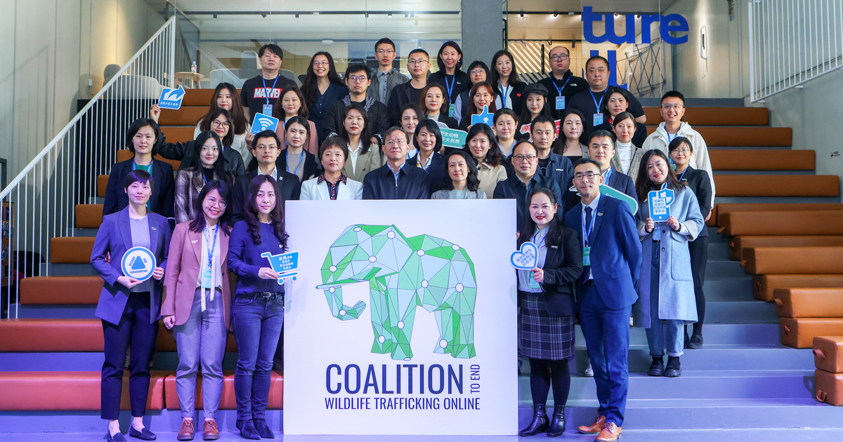 The Coalition blocks millions of wildlife crime listings