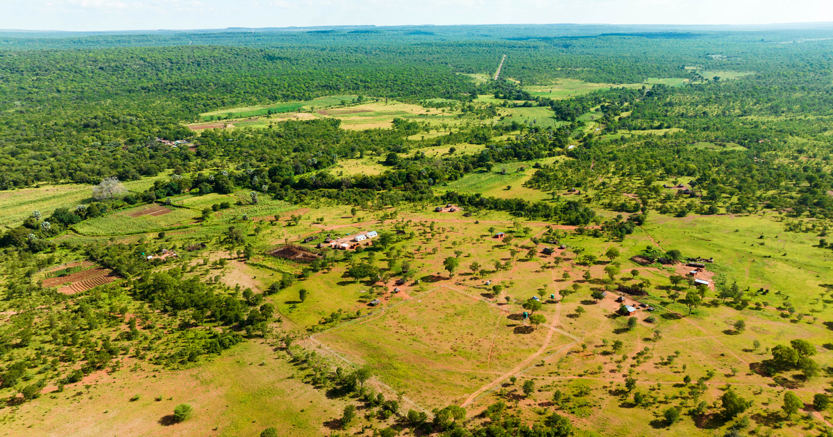 historic 25-year, US$50 million boost for Zimbabwe conservation