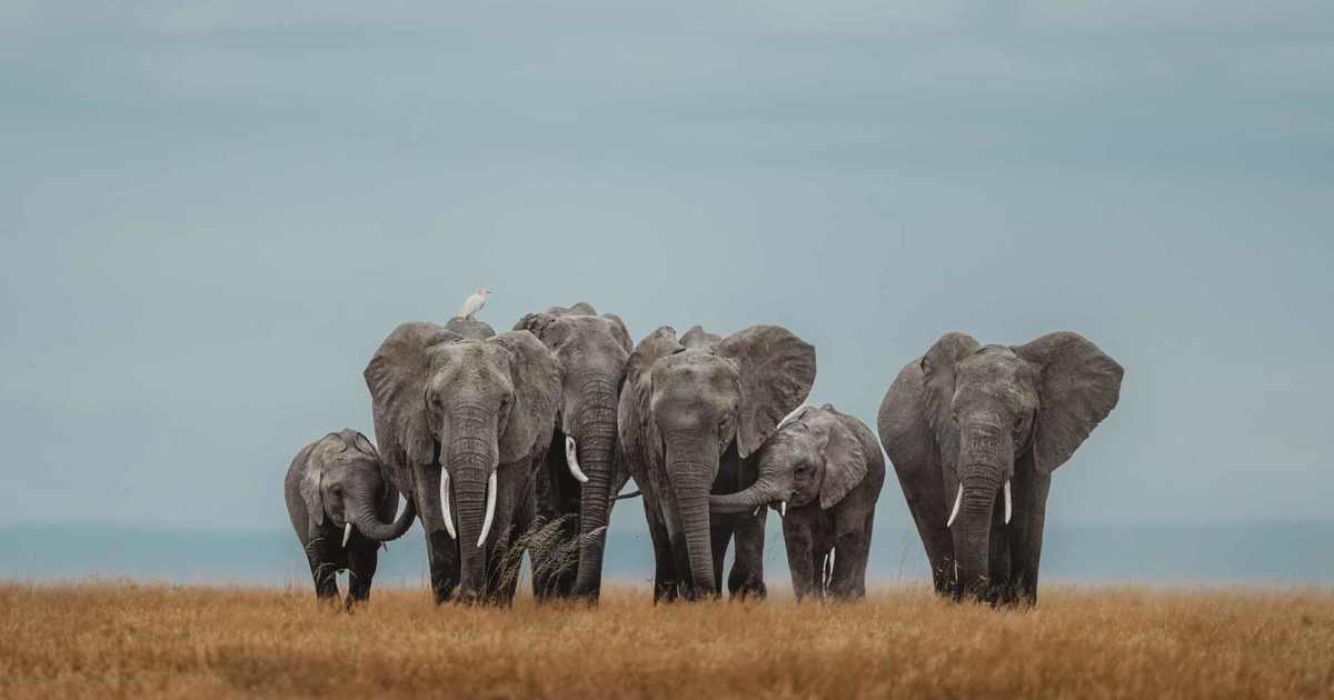 Climate change: terms and definitions