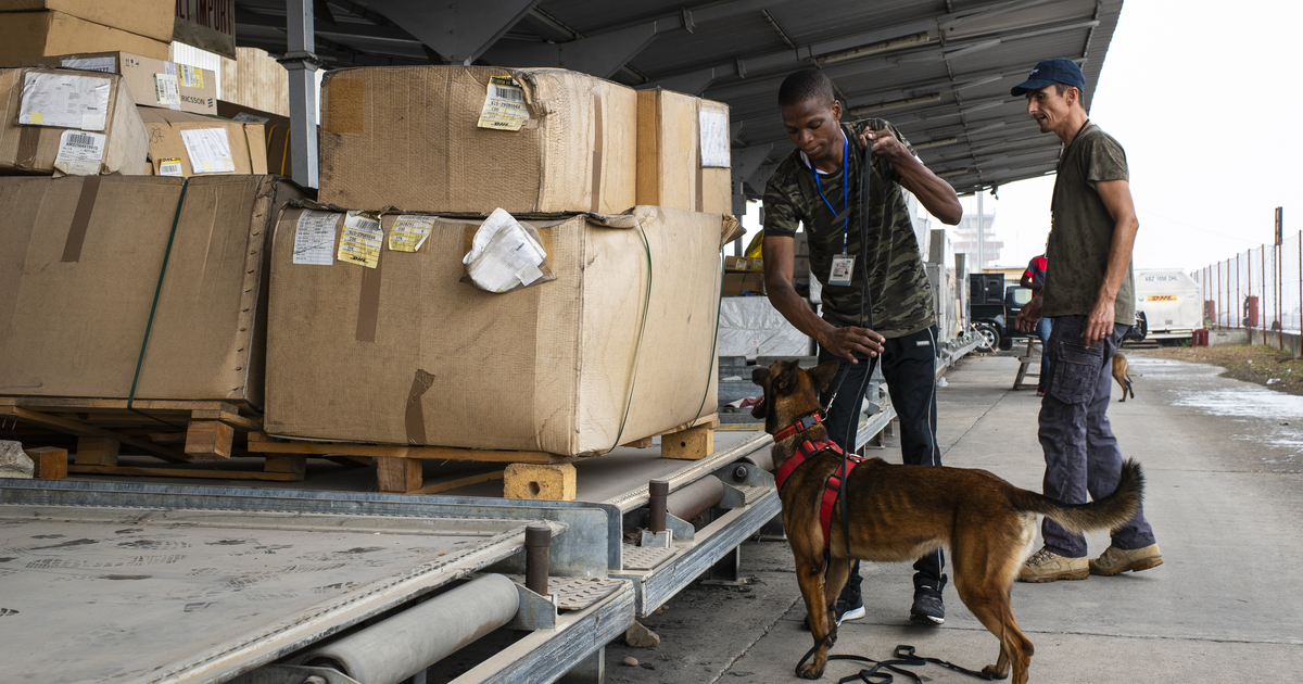 How can we use AI to combat wildlife crime?