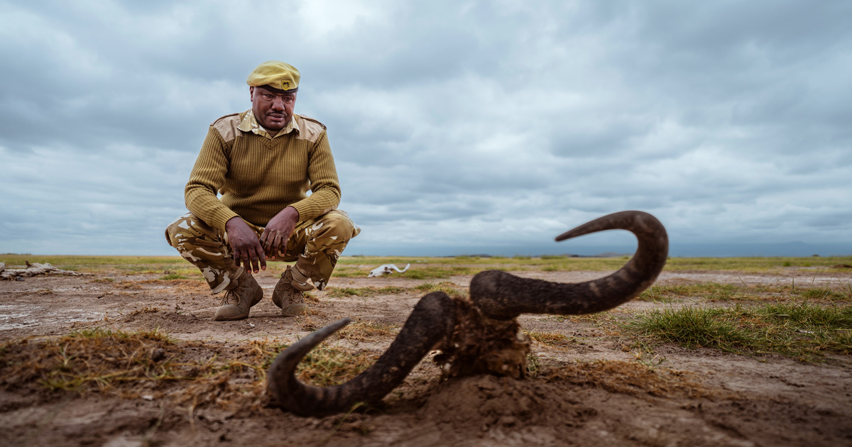 Protecting wildlife, helping communities, tackling climate crisis