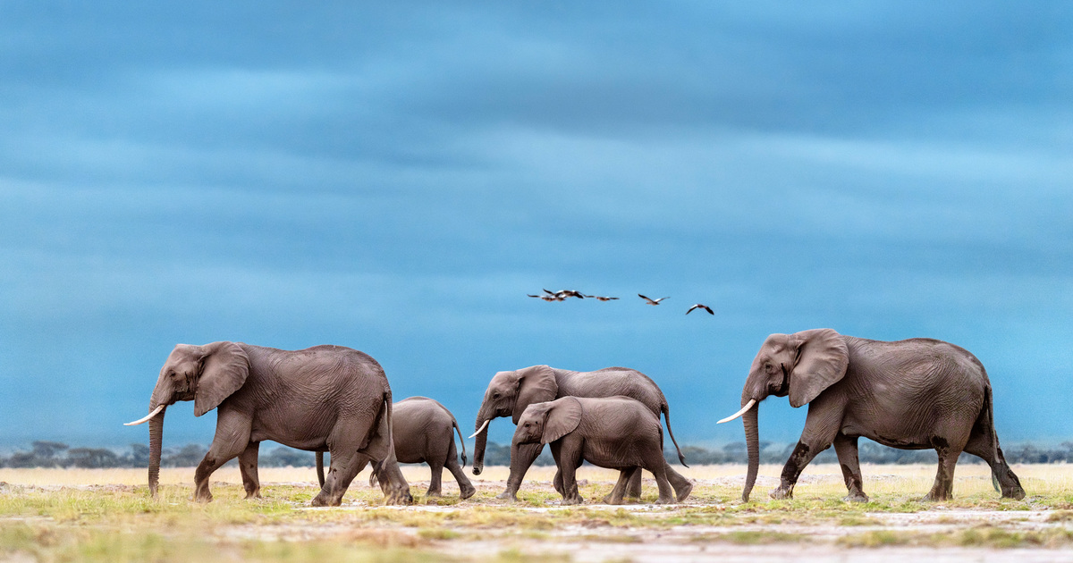 Forging a new path in conservation for people and wildlife