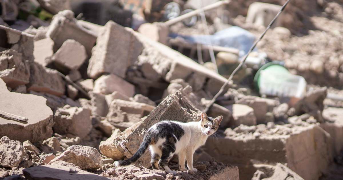 Tremblement de terre meurtrier au Maroc