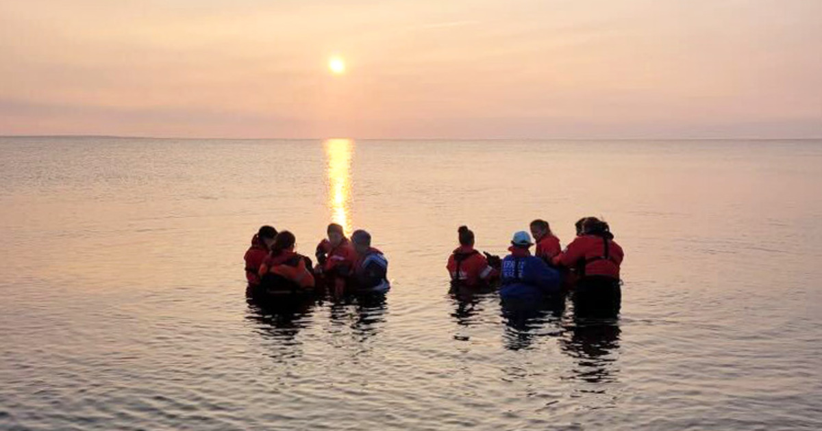 Experts rescue and release two dolphins off Cape Cod