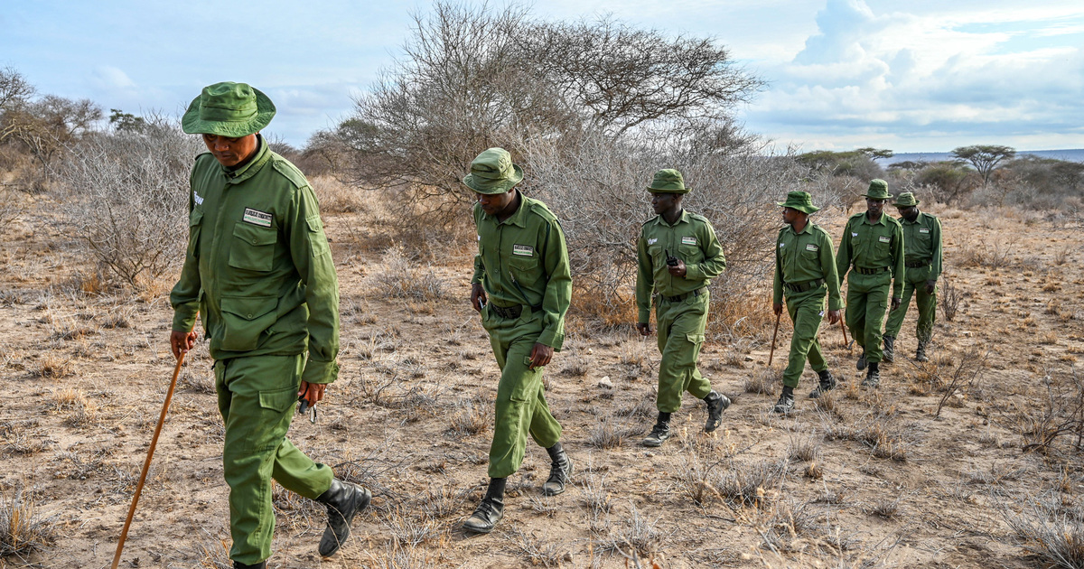 The perils facing wildlife protectors on the frontline