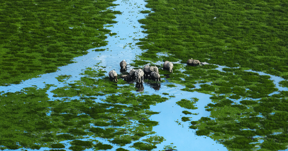 New report shows need for integration of wildlife conservation