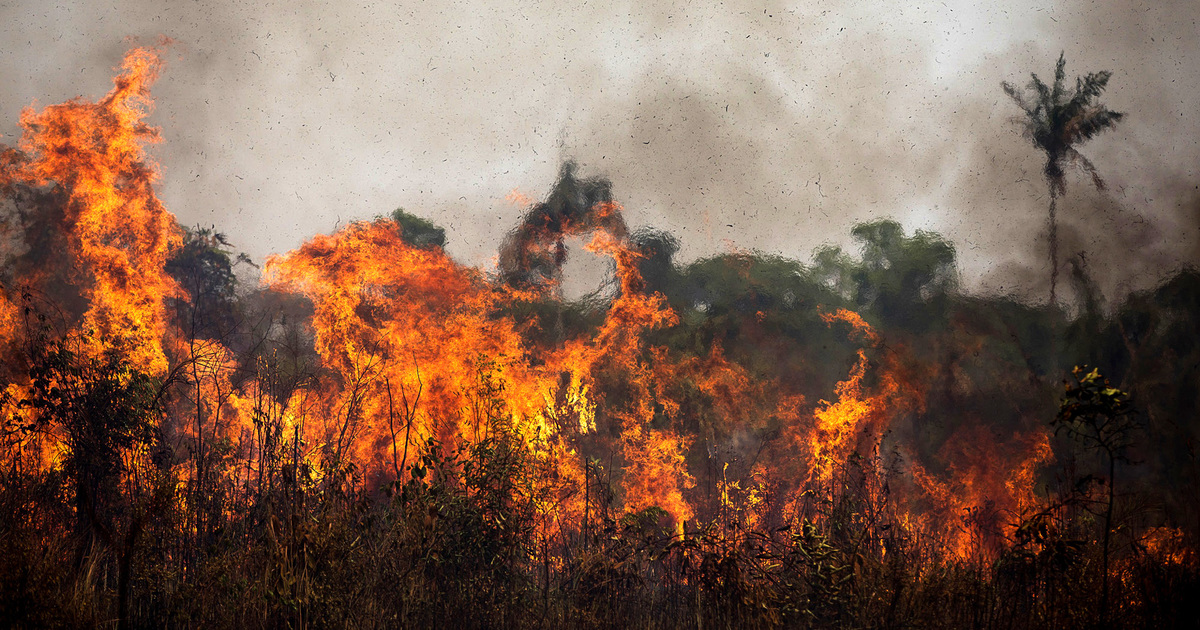 Brazil’s fires: wake-up call to climate change, human destruction