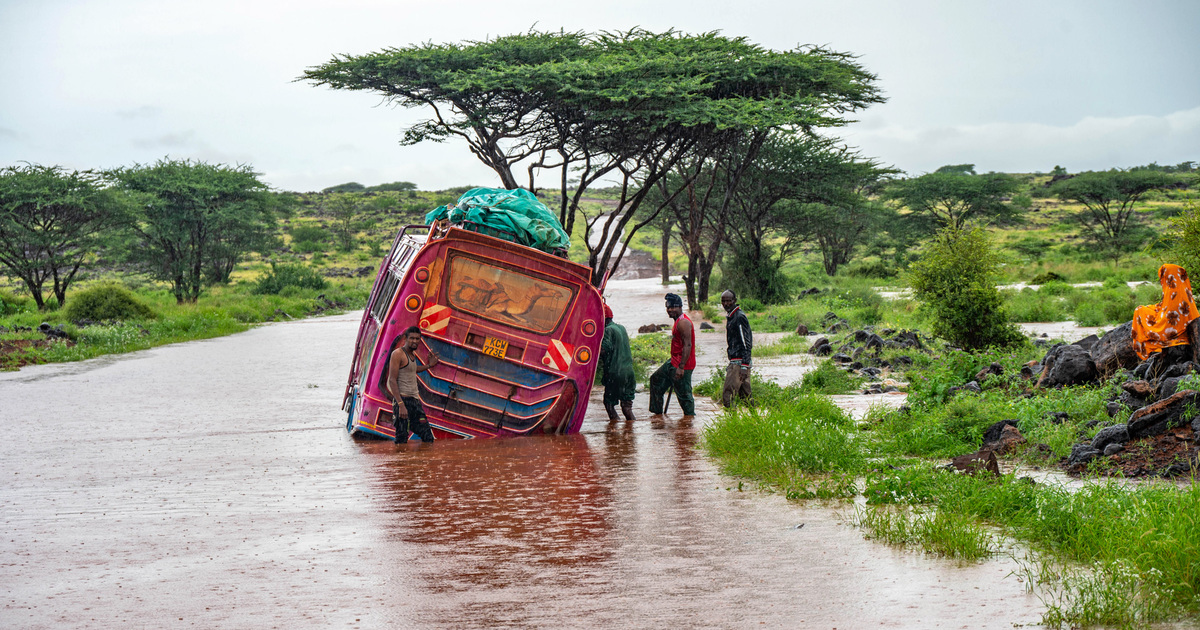 El Niño’s impact on wildlife: a case for nature-based solutions